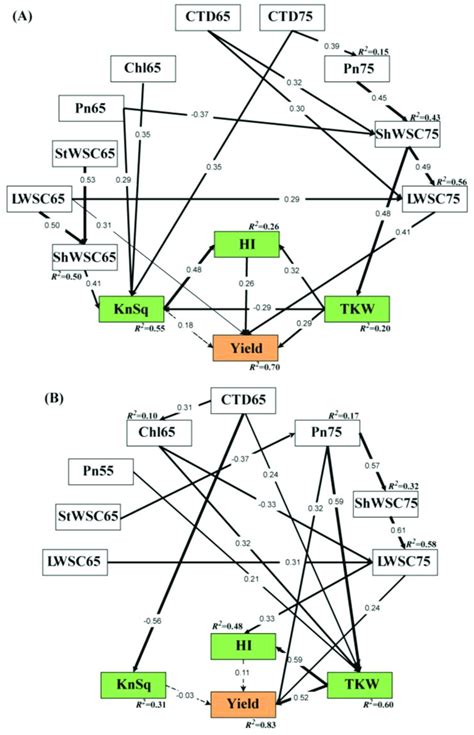 Structural Equation Modeling Sem Showing Effects Of Yield Kernels