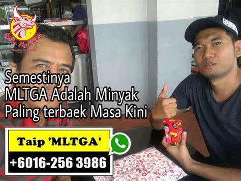 PEMBEKAL UTAMA MINYAK LINTAH BELACAK MLTGA OIL PLUS PATI LINTAH GUNUNG ...