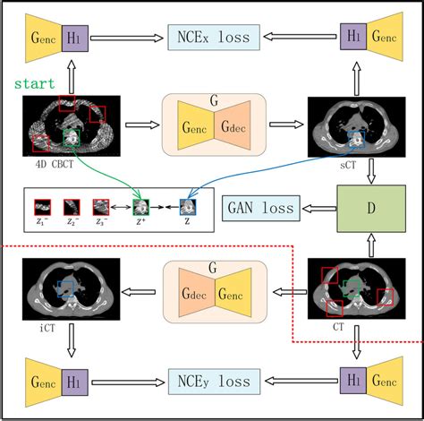 The Overall Architecture Of Cut A Generator And A Discriminator Are
