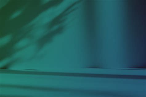 제품 프리젠 테이션을위한 추상적인 파란색 스튜디오 배경 창문과 꽃과 야자수 잎의 그림자가있는 빈 방 복사 공간이있는 3d 실 여름 콘서트 흐릿한 배경 화장품에 대한 스톡