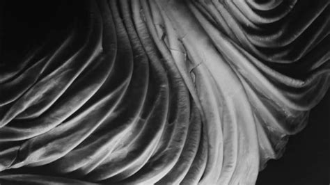 Edward Weston Art History New Ppt