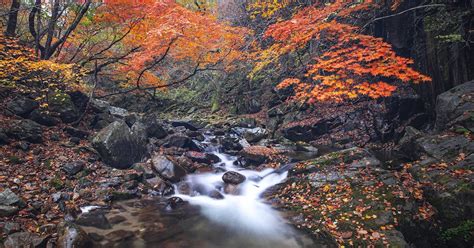 Blog Corel Discovery Center