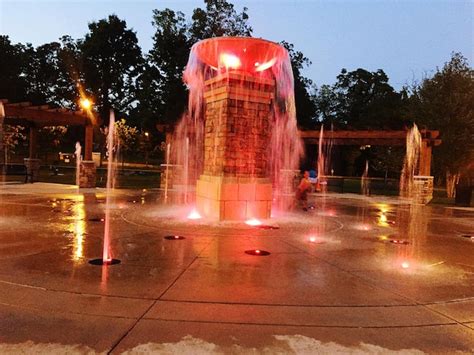 Premium Photo Blurred Motion Of Trees At Night