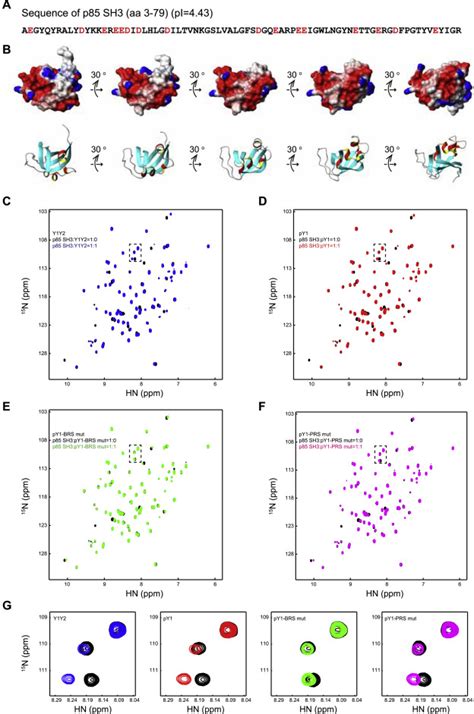 Multiple Signaling Roles Of Cd3ε And Its Application In Car T Cell Therapy Cell