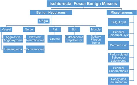 Differential Diagnosis Of Ischiorectal Fossa Benign Neoplasms And Download Scientific Diagram