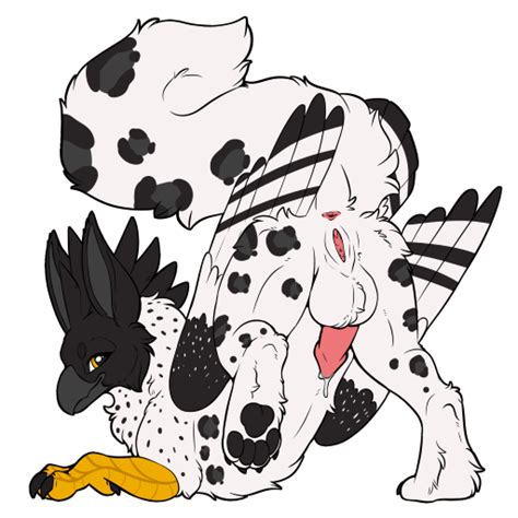 Rule 34 Anus Avian Balls Feathered Wings Feathers Feral Fur Genitals