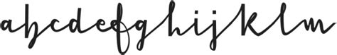Cursive Signa Script Bd Ttf 700 Font Script Decorative What Font Is