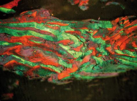 Metallography With Color And Contrast Learn And Share Leica Microsystems