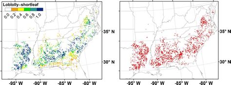 Illustration Of The Generation Of Spatial Distribution Maps For Tree