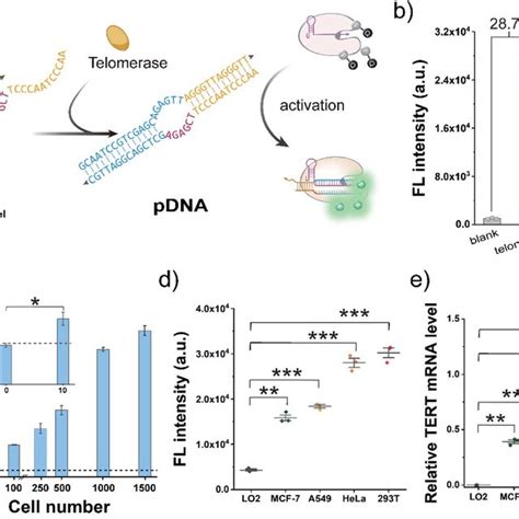 Pdf Pam Less Conditional Dna Substrates Leverage Trans Cleavage Of