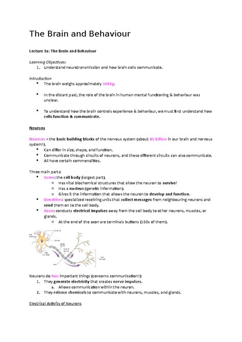 The Brain And Behaviour The Brain And Behaviour Lecture 3a The Brain And Behaviour Learning