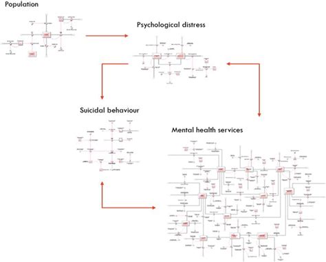 A High Level Overview Of The Causal Structure And Pathways Of The