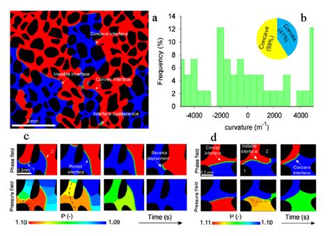 A The Main Interfacial Features Observed During 2d Vof Modelling Of Download Scientific