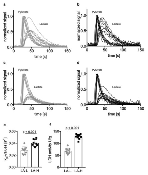 Hyperpolarized 13c Pyruvate Magnetic Resonance Spectroscopy For In Vivo Metabolic Phenotyping Of