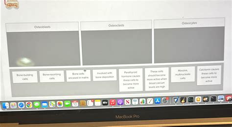 Solved Match Each Into Boxes Chegg Com