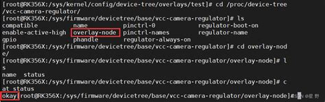 Linux设备树插件 Csdn博客