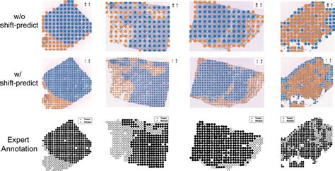 Comparison Of Results Using Shift Predict And Clustering On