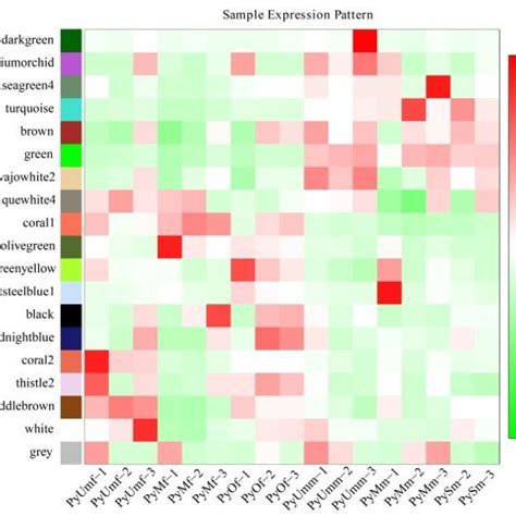 Heatmap Of Samples Expression Patterns The Expression Patterns Of 19