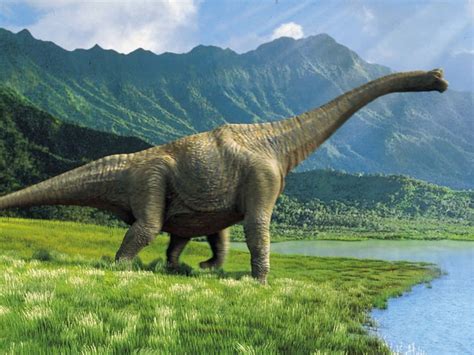 400 Dinosaur Pictures
