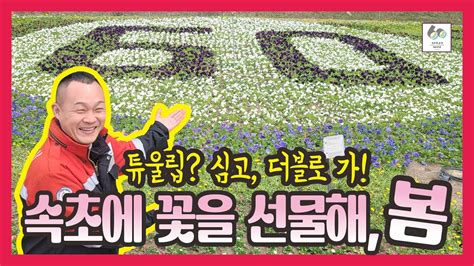 속초에는 꽃을 든 남자가 있다 속초시 꽃묘장을 가다 속초시승격60주년 Youtube