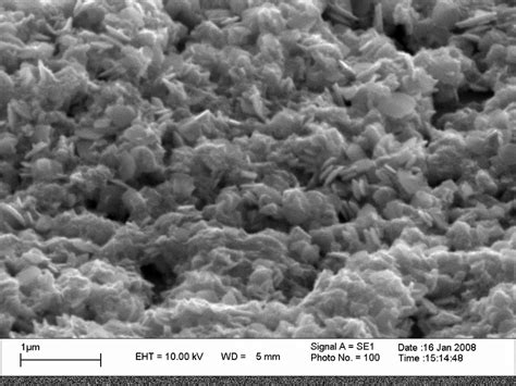 Sem Image Of H Wo 3 Nanocrystals Download Scientific Diagram
