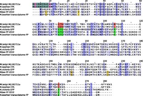 Multiple Sequence Alignment Of FPLs Multiple Sequence Alignment Of Download Scientific Diagram