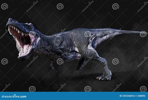 Dangerous Tyrannosaurus Rex Acts And Poses Isolated With Clipping Path