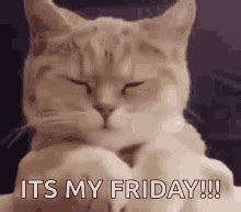 Today Is My Friday S Tenor