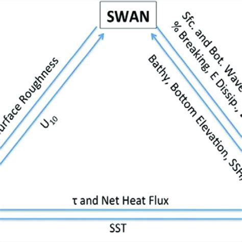 Basic Schematic Of The Coawst Modeling System Include Their Link