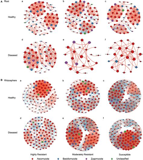 Frontiers Pathogen Infection And Host Resistance Interactively Affect Root Associated Fungal