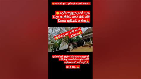 🙏සාදූ සා ගියපු අය නම් තැන දන්නවා කොහෙද කියලා ඉතින් රජකලේ සිට පැවත එන අපේ පන්සල🇱🇰 Travel