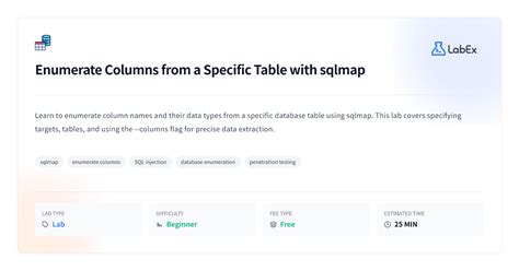 Enumerate Columns From Specific Table With Sqlmap Labex