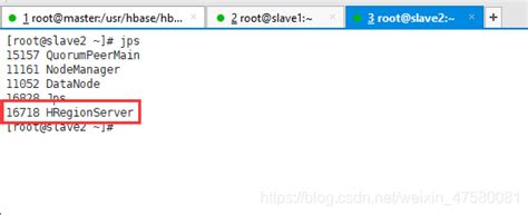 Linux基础环境搭建（centos7） 安装hbasecentos7 Base Environment Csdn博客