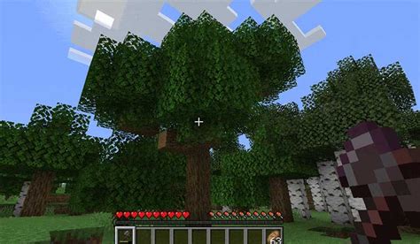 Tree Harvester Mod Para Minecraft 1 21 1 20 1 1 19 2 1 18 2 Y 1 16 5