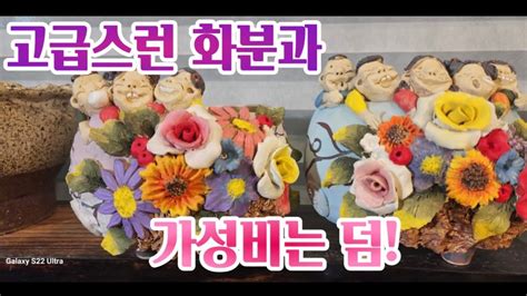 1월26일 고급스런화분과 가성비는 덤 꽃담다육스토리예쁜화분화분싸게파는곳다육식물多肉植物succulents다육이꽃