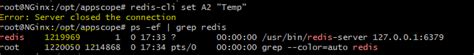 Bug Redis Crashes After Attaching Scope When Setting Value · Issue