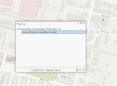 Solved Pop Up Not Displaying Data In Arcgis Pro Esri Community