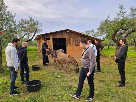 Свети манастир Хиландар “Бог је створио животиње да би служиле човеку али и да би се човек