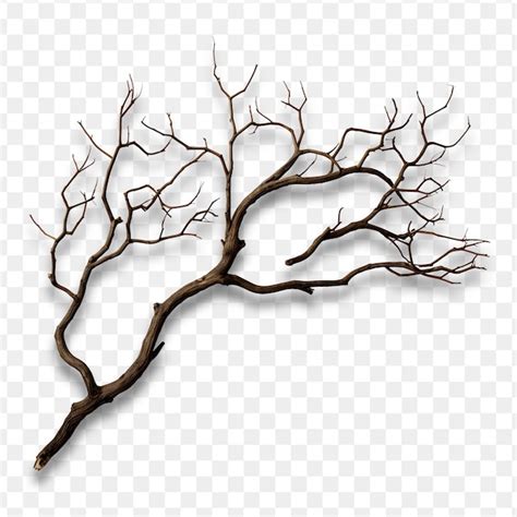 Premium PSD A Tree Branch On A Transparent Background With A White Background