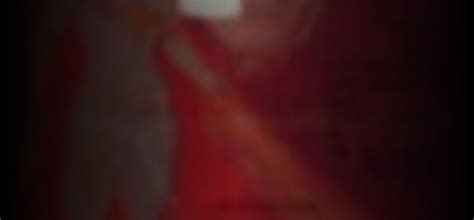 The Notorious Cleopatra 1970 Nude Scenes Pics And Clips Ready To Watch