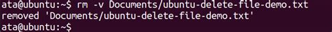 Learn The Many Ways In Ubuntu To Delete Files