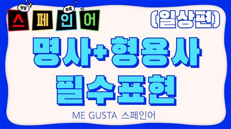 기초 스페인어 명사형용사 필수 표현 일상편 Youtube