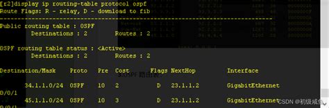 hcip——ospf总结 ospf主从关系选举原则 csdn博客