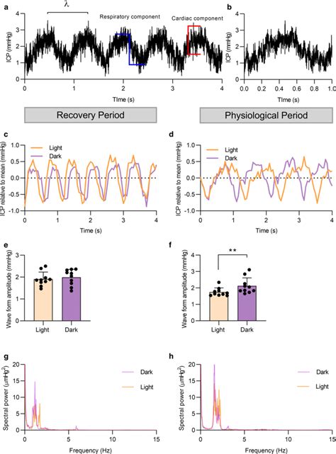 Waveform Analysis Of Icp Measured In Freely Moving Animals A Icp