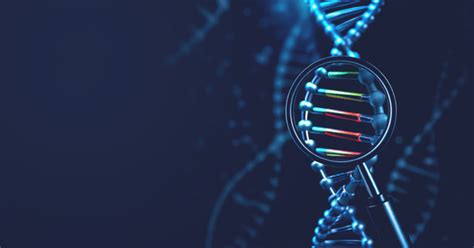 Java Mutation Testing Explained Tools Examples And Best Practices