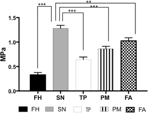 Youngs Elastic Modulus Of The Different Skin Sites Under Tension Key Download Scientific