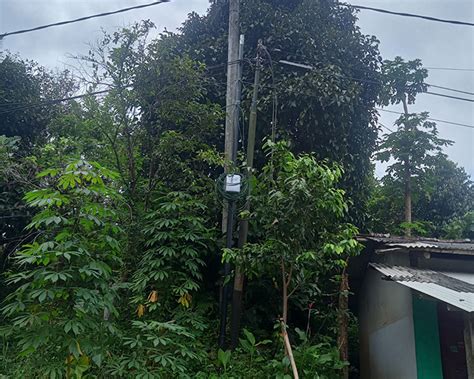 Tiang Internet Dipasang Tanpa Izin Pemilik Tanah Minta Untuk Di Bongkar Sergap Tiang Internet Dipasang Tanpa Izin Pemilik Tanah Minta Untuk Di Bongkar Sergap