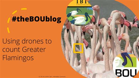 Bou 👩🏻‍🏫👨🏿‍🏫🧕🏽👳🏽‍♂️ 🌈 On Twitter Recent Technological Developments