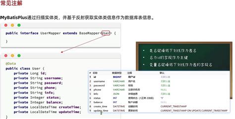 mybatisplus 入门 csdn博客