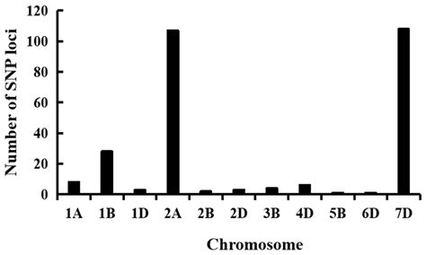 Quantitative Trait Loci Mapping For Adult Plant Stripe Rust Resistance In Chinese Wheat Cultivar